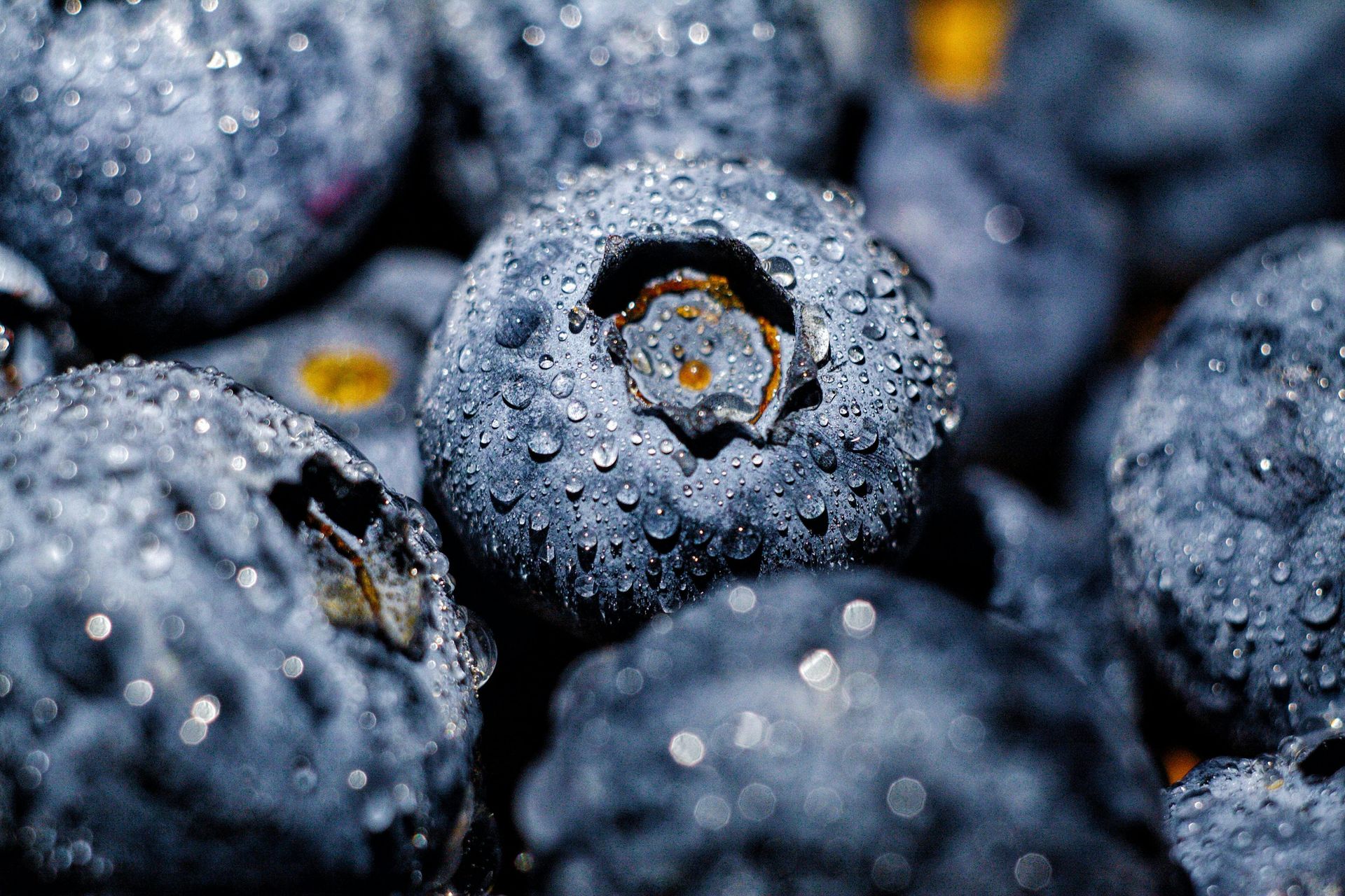 Natures Pet Products - Wholesale raw pet food ingredients