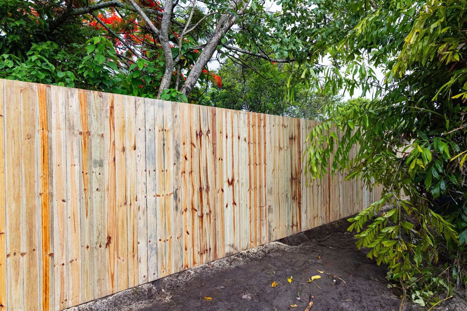 Affordable Colorbond & Timber Fences Gold Coast | Team 247