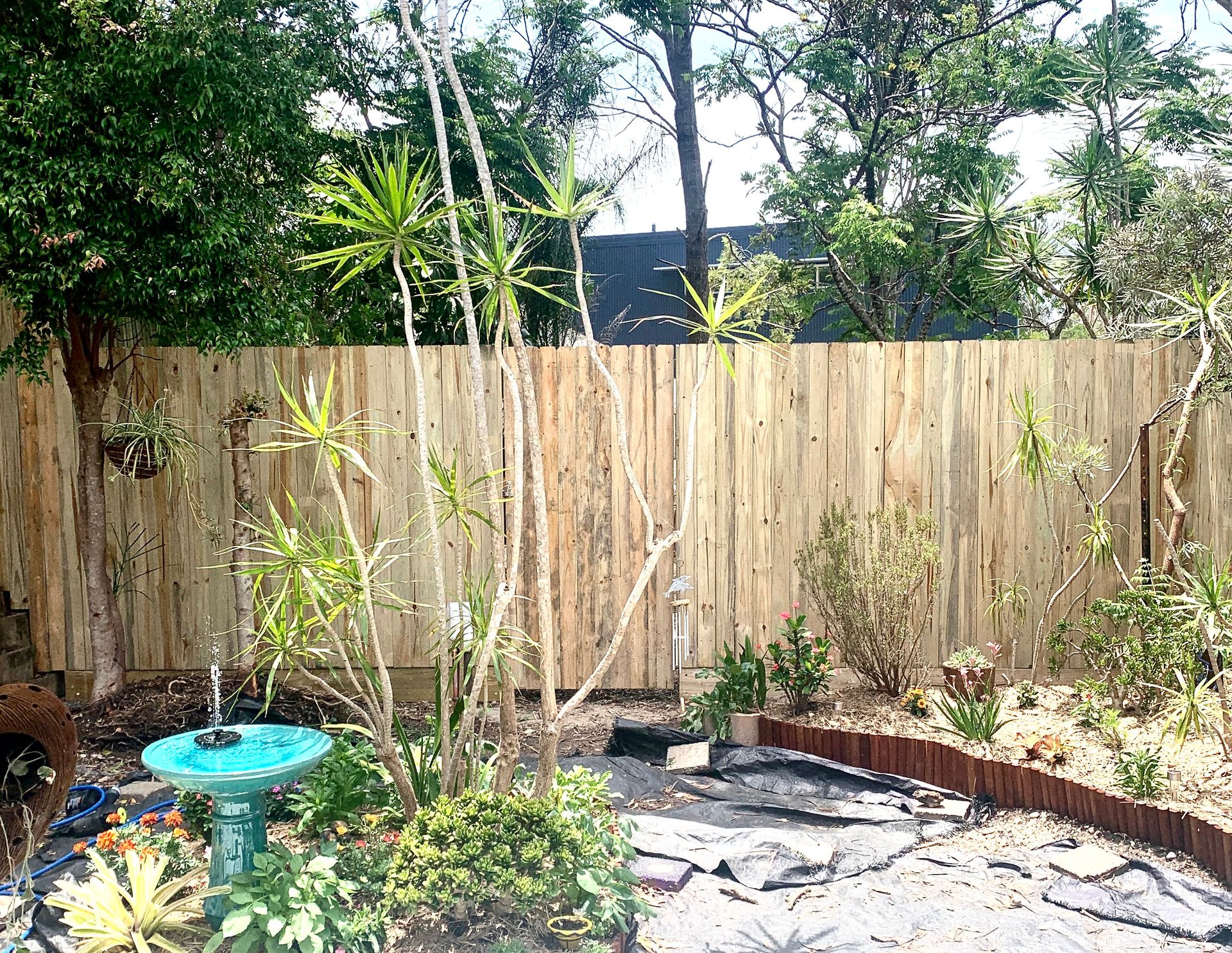 Affordable Colorbond & Timber Fences Gold Coast | Team 247