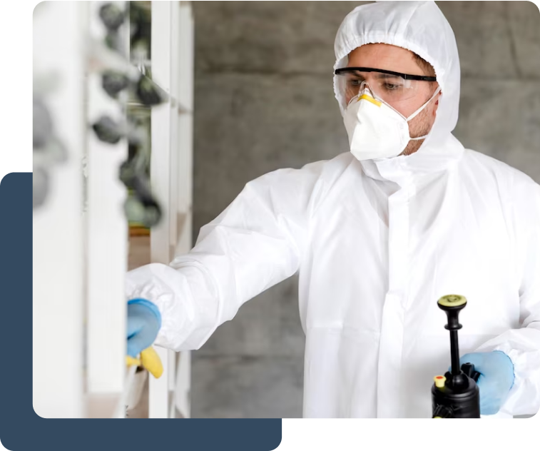 What Pest Control Methods Work Best in Apartments?