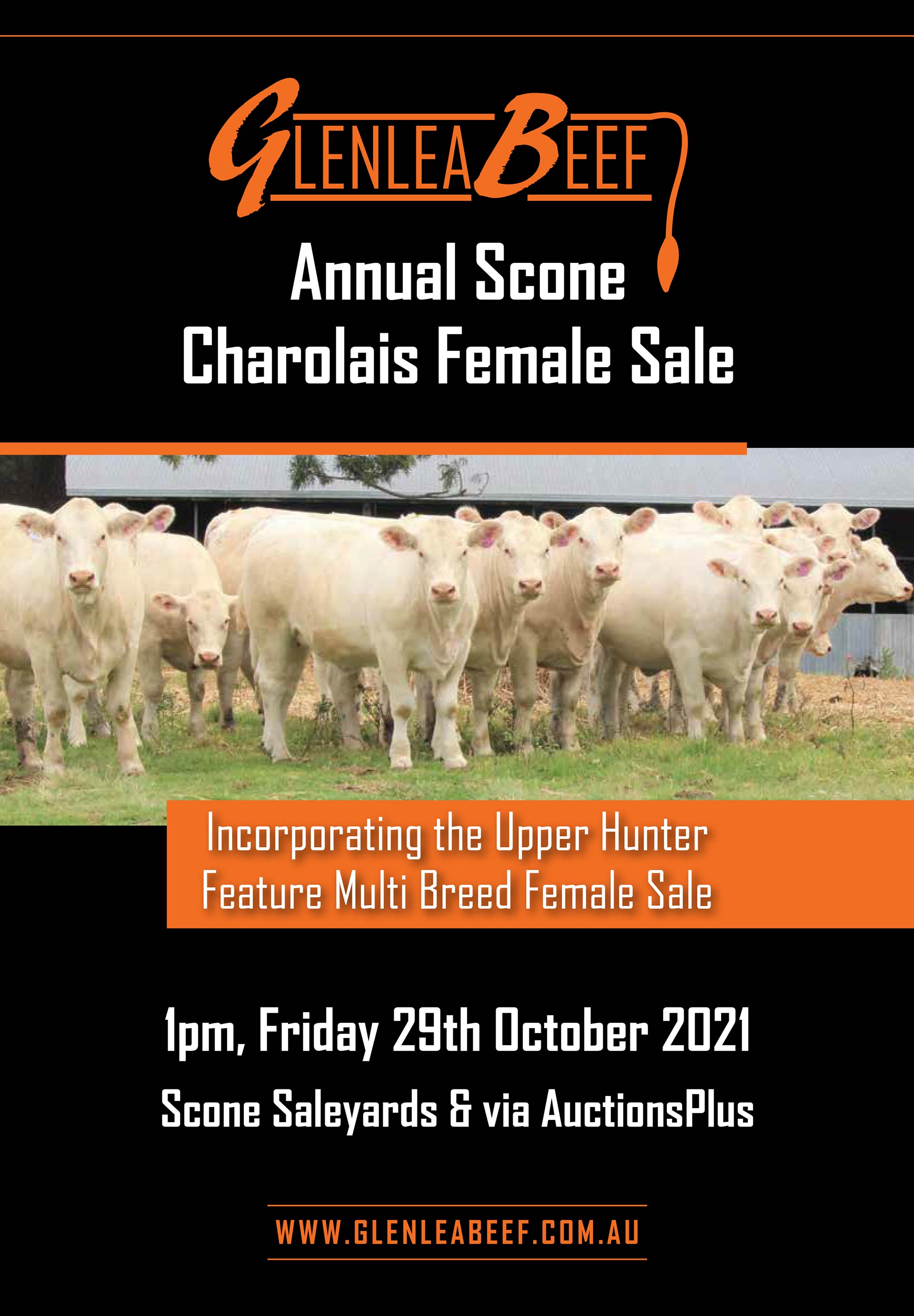 Glenlea Beef - NSW & QLD - Stock For Sale