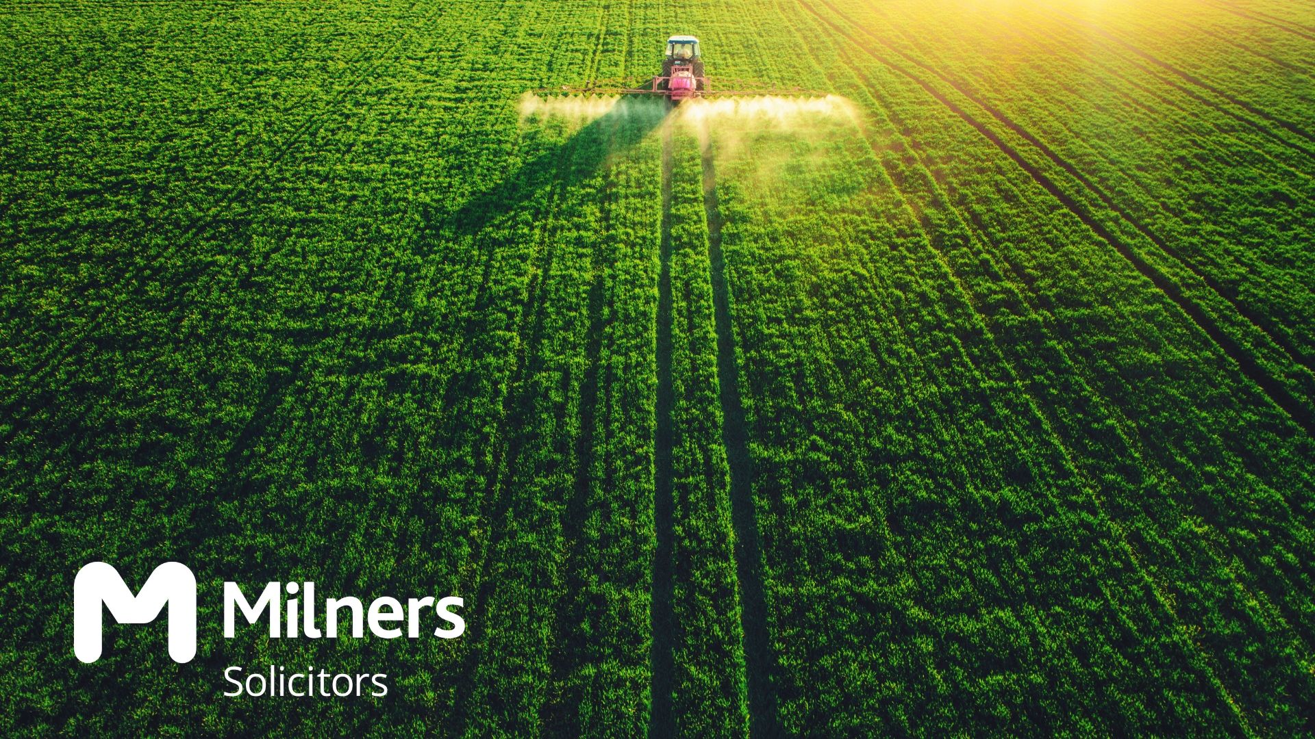 Biodiversity net gain (BNG) and its implications for farmers