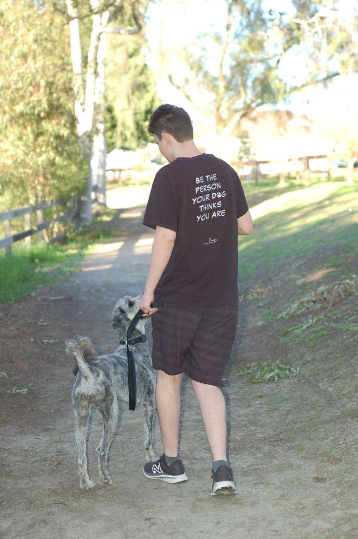 Tasking Tails | Expert Dog Training in Avondale, AZ