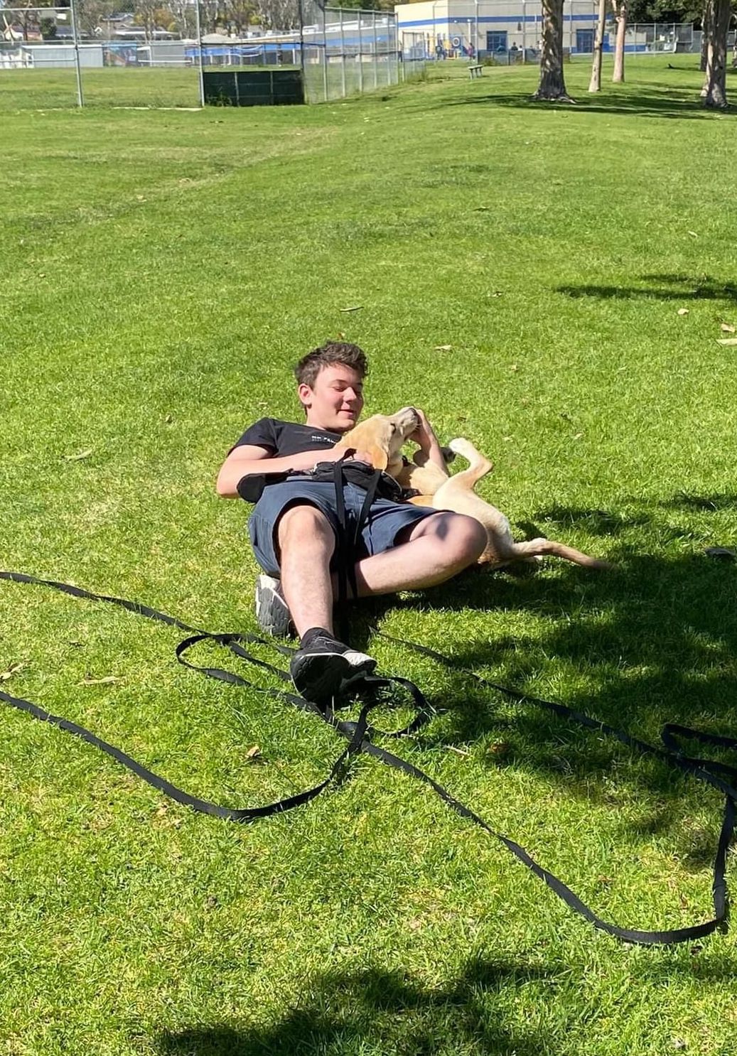 Tasking Tails | Expert Dog Training in Avondale, AZ