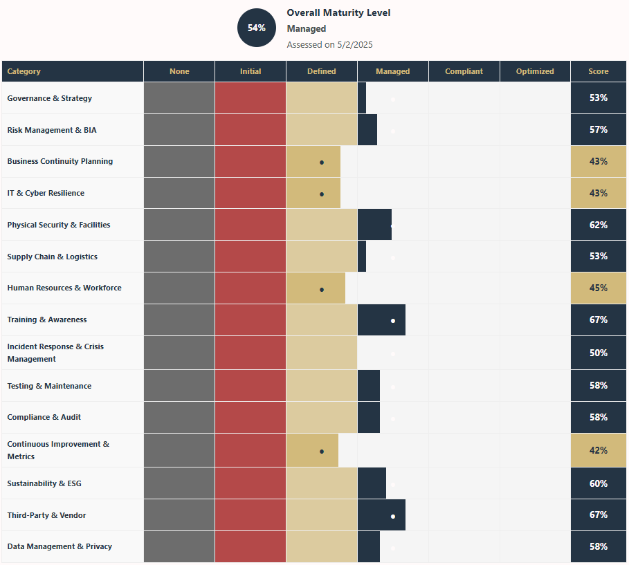 Maturity Assessments | PAI Consulting