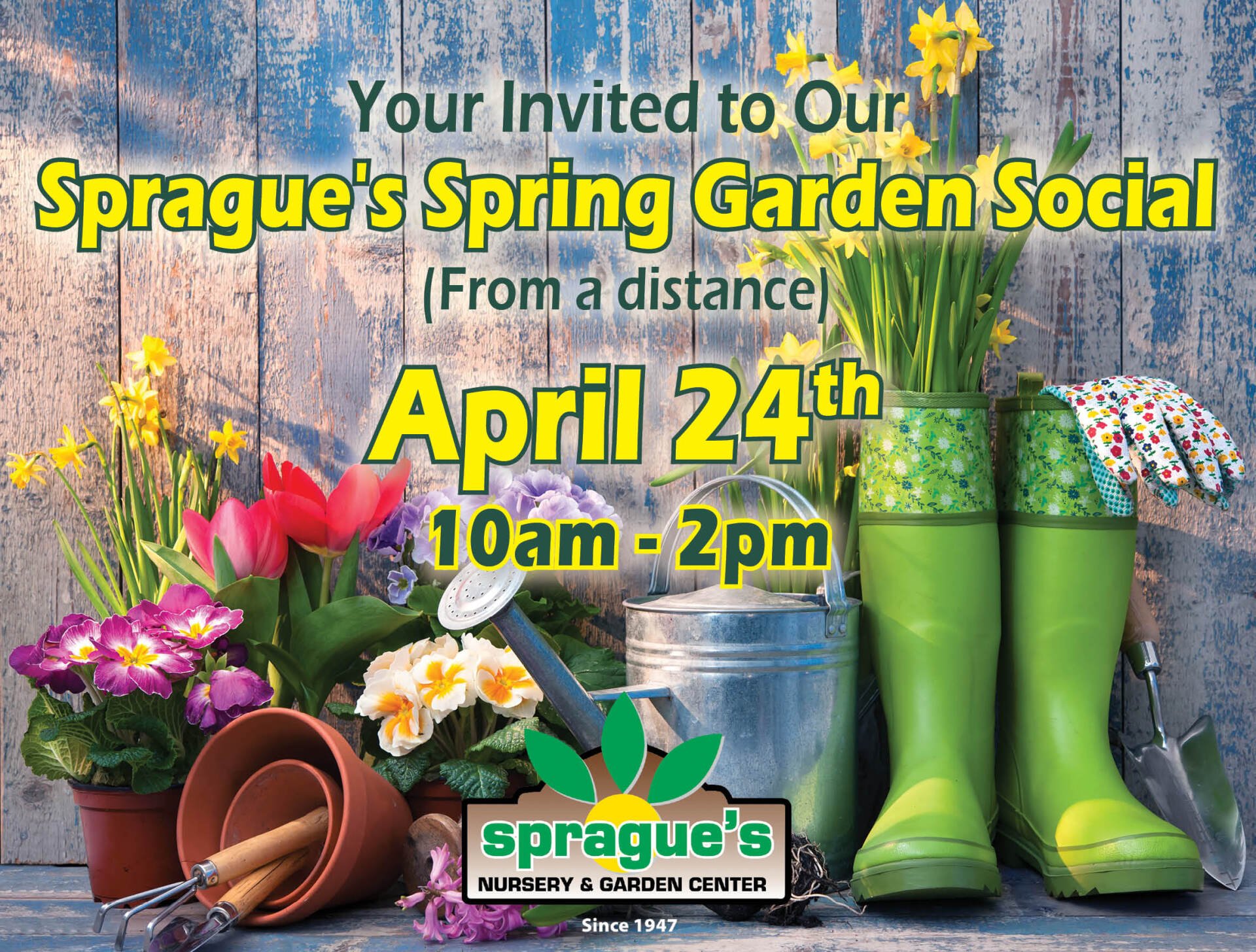 Plant Nursery & Garden Center | Gardening Events | Bangor, ME