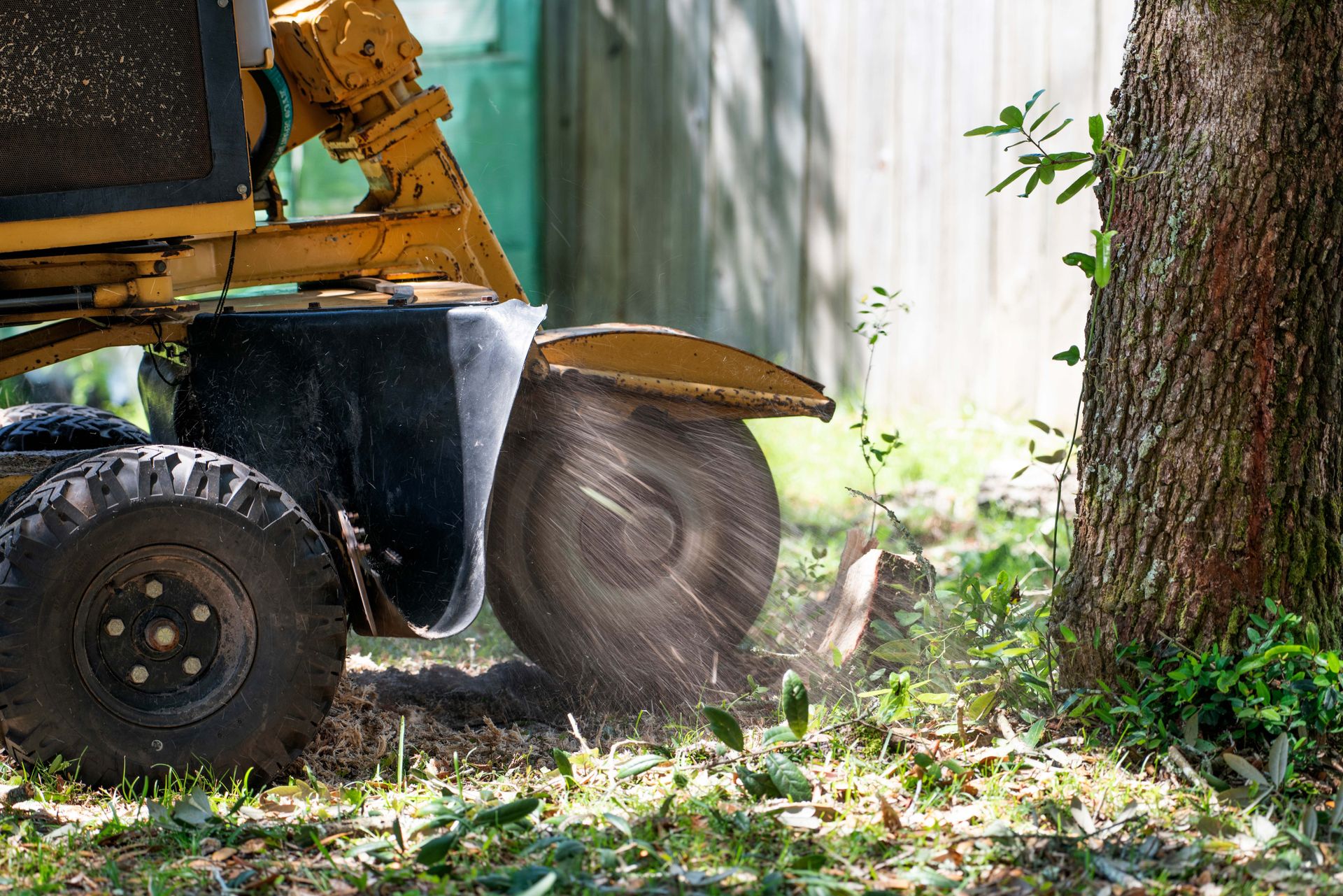 Professional Stump Grinding | West Valley City, UT