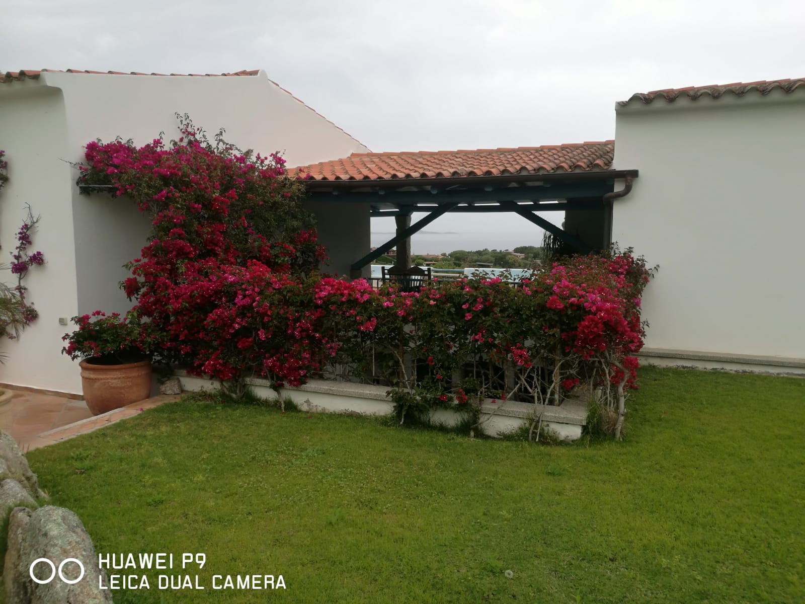 Realizzazione giardini | Olbia, SS | Roberto Casula Giardini