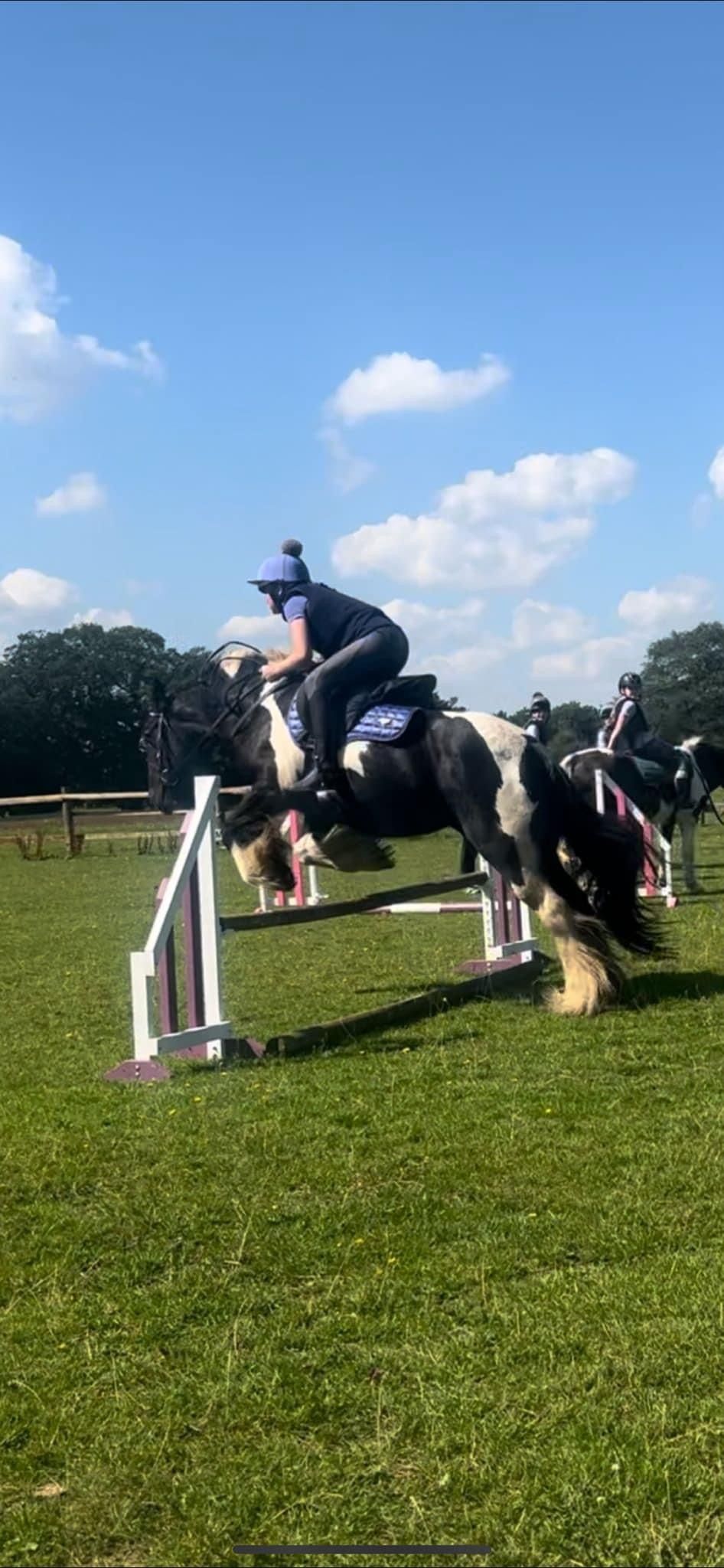 Horse Tuition - Twinstead | Twinstead Riding School