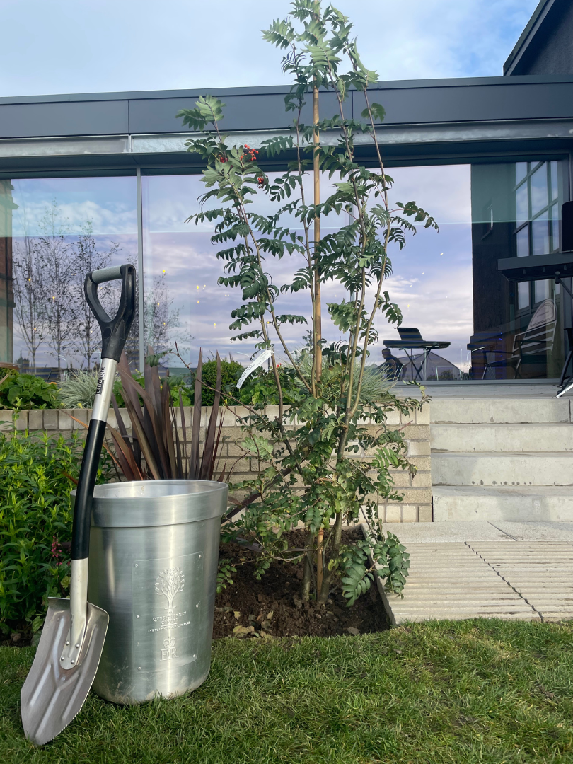 Tree of Trees gifted to CentreStage as part of Queen's Green Canopy