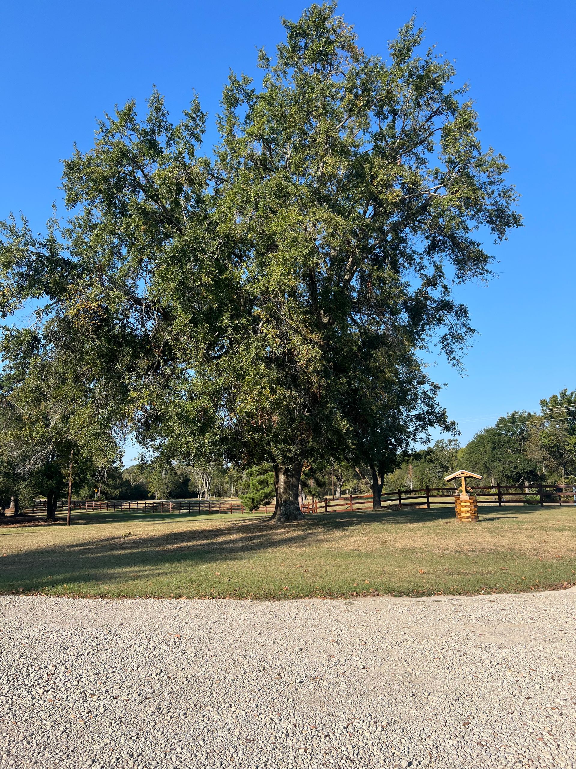 Welcome To The Old Homeplace RV Village