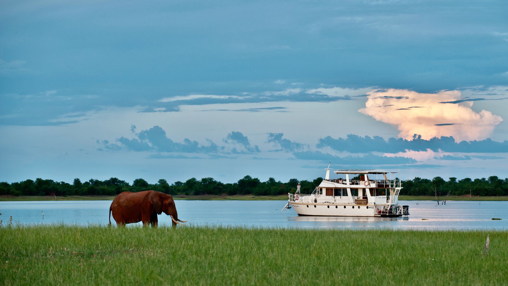 Rovos Rail Zambezi River Safari in Zimbabwe - eXplore Plus