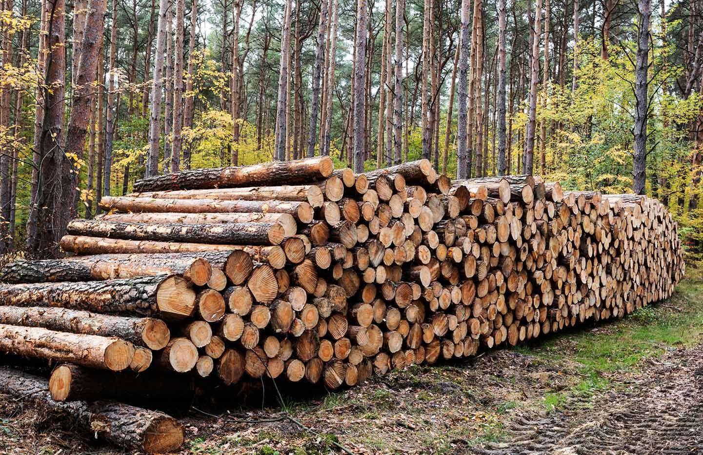 Land Excavation & Preparation Experts | Washington, ME