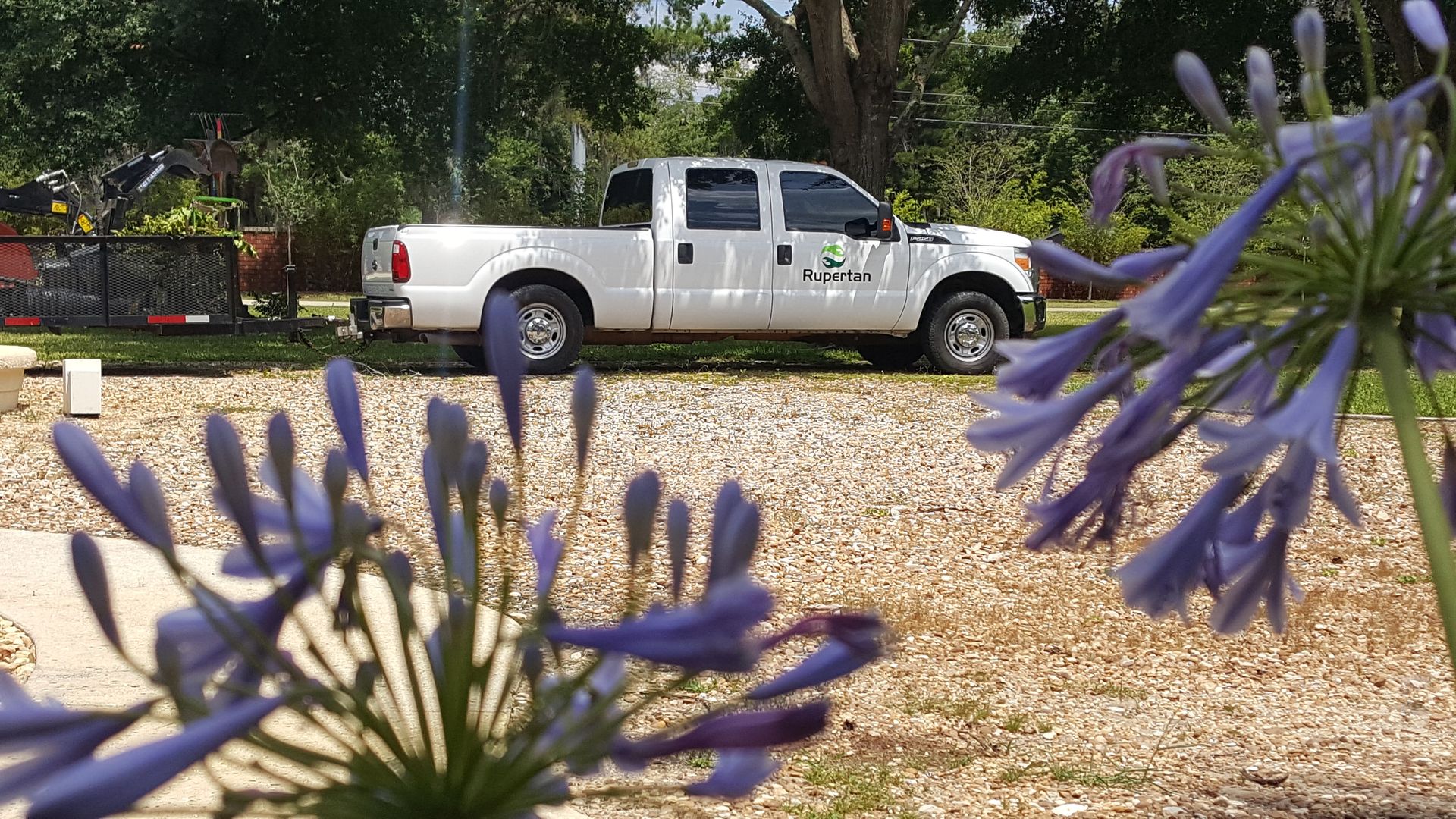 Lawn Maintenance | Winter Haven, FL | Rupertan