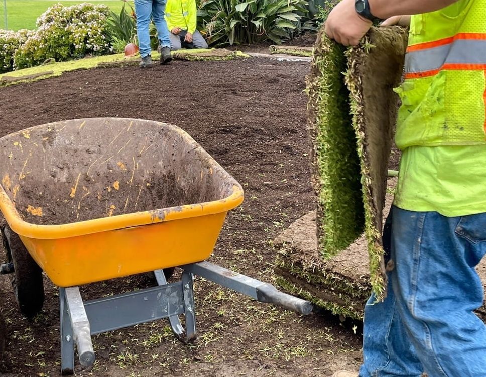Sod Installation | Winter Haven, FL | Rupertan