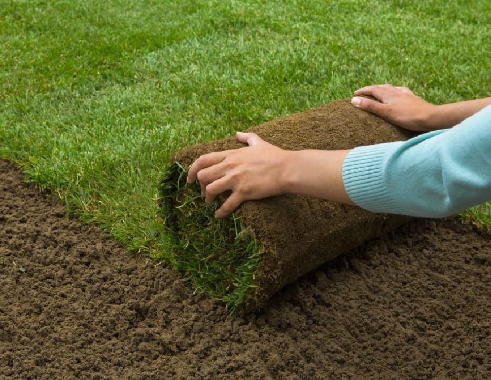 Sod Installation | Winter Haven, FL | Rupertan