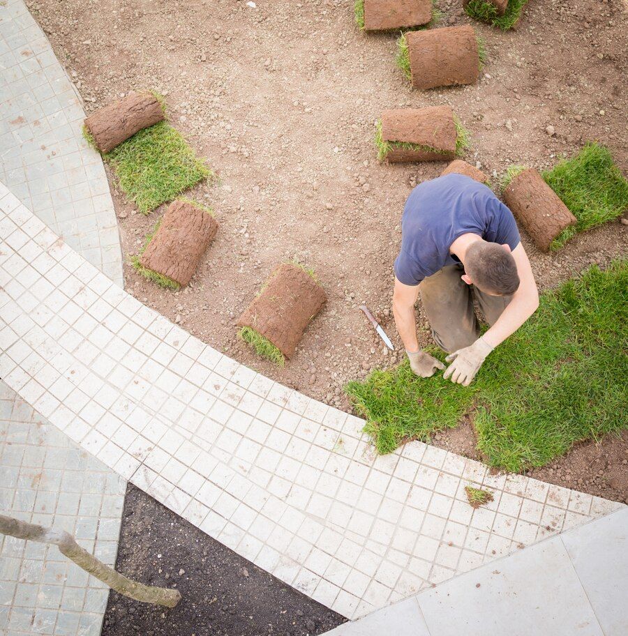 Landscaping Company | Winter Haven, FL | Rupertan