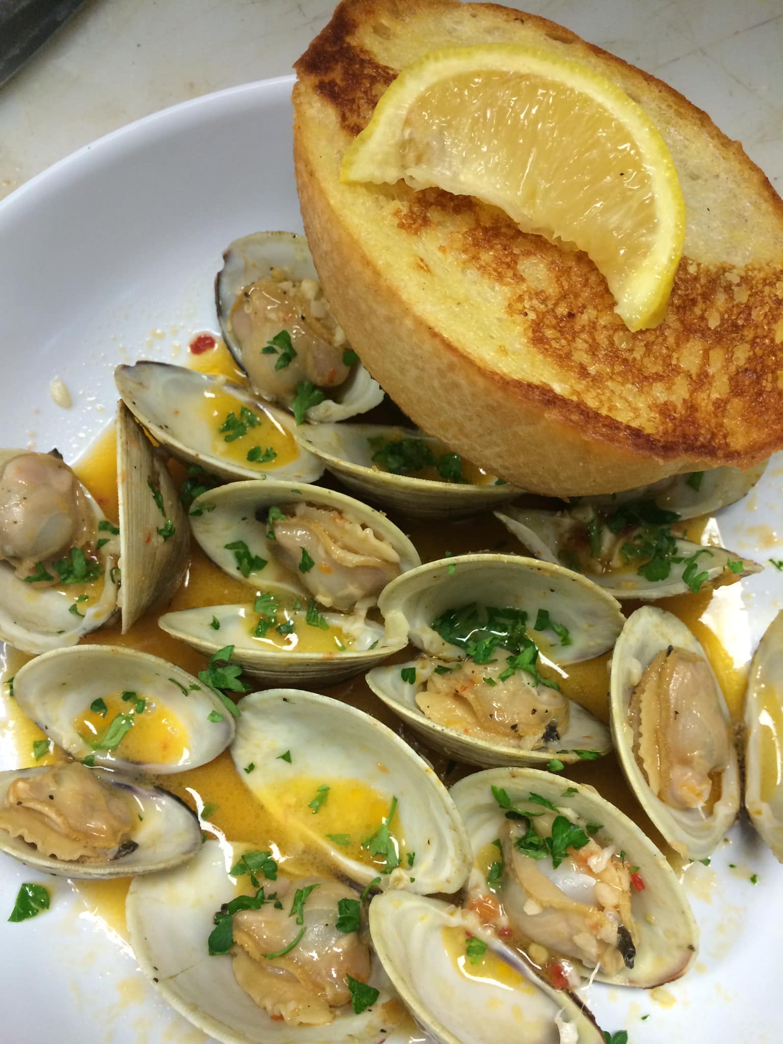 Cape Cod Fish Co. | Seafood Restaurant | Fresh Seafood Market