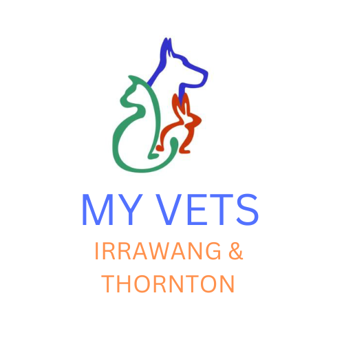 Complete Pet Care | Raymond Terrace, NSW | My Vets
