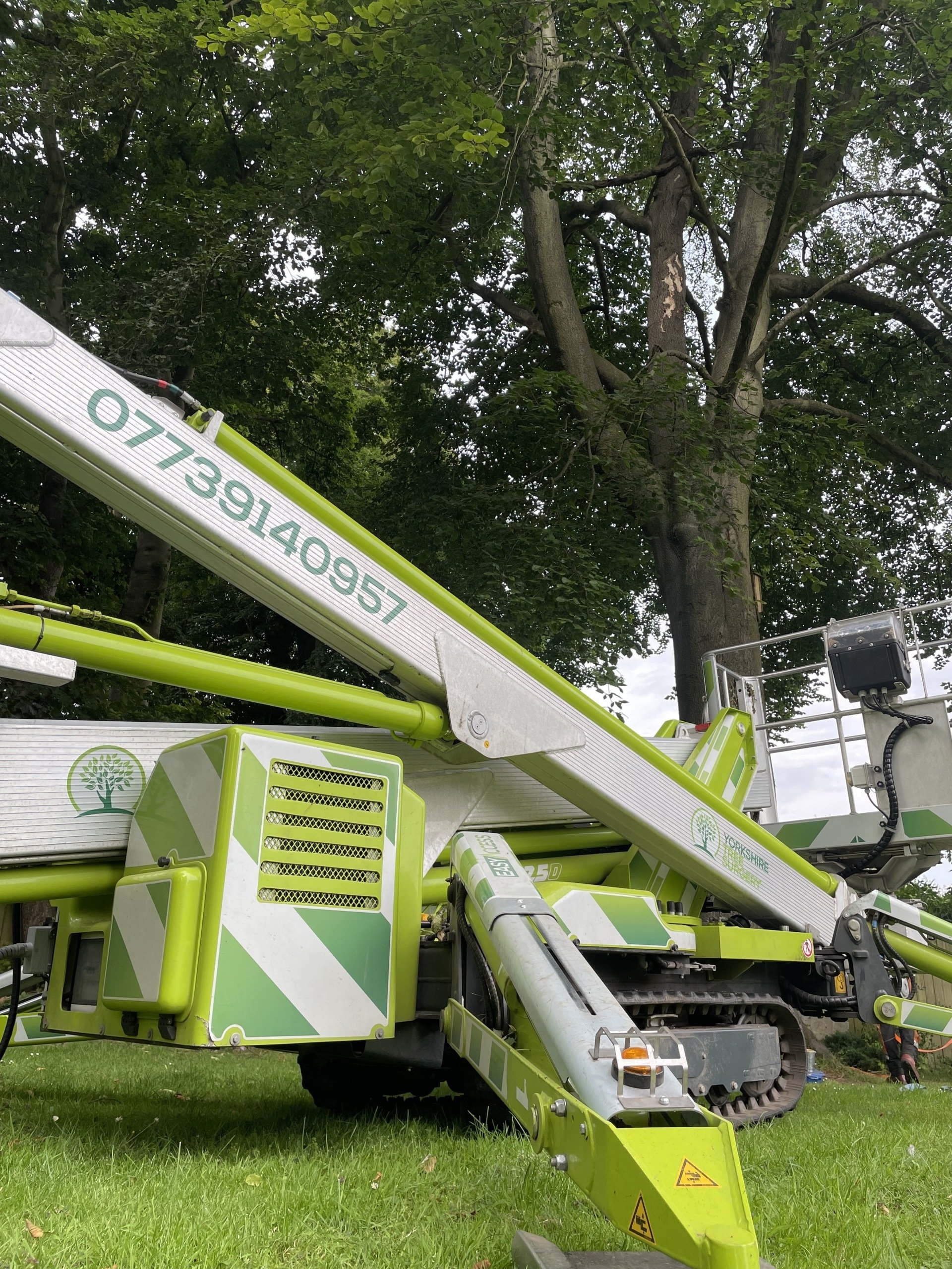 Tree surgeon | Yorkshire Tree Surgery
