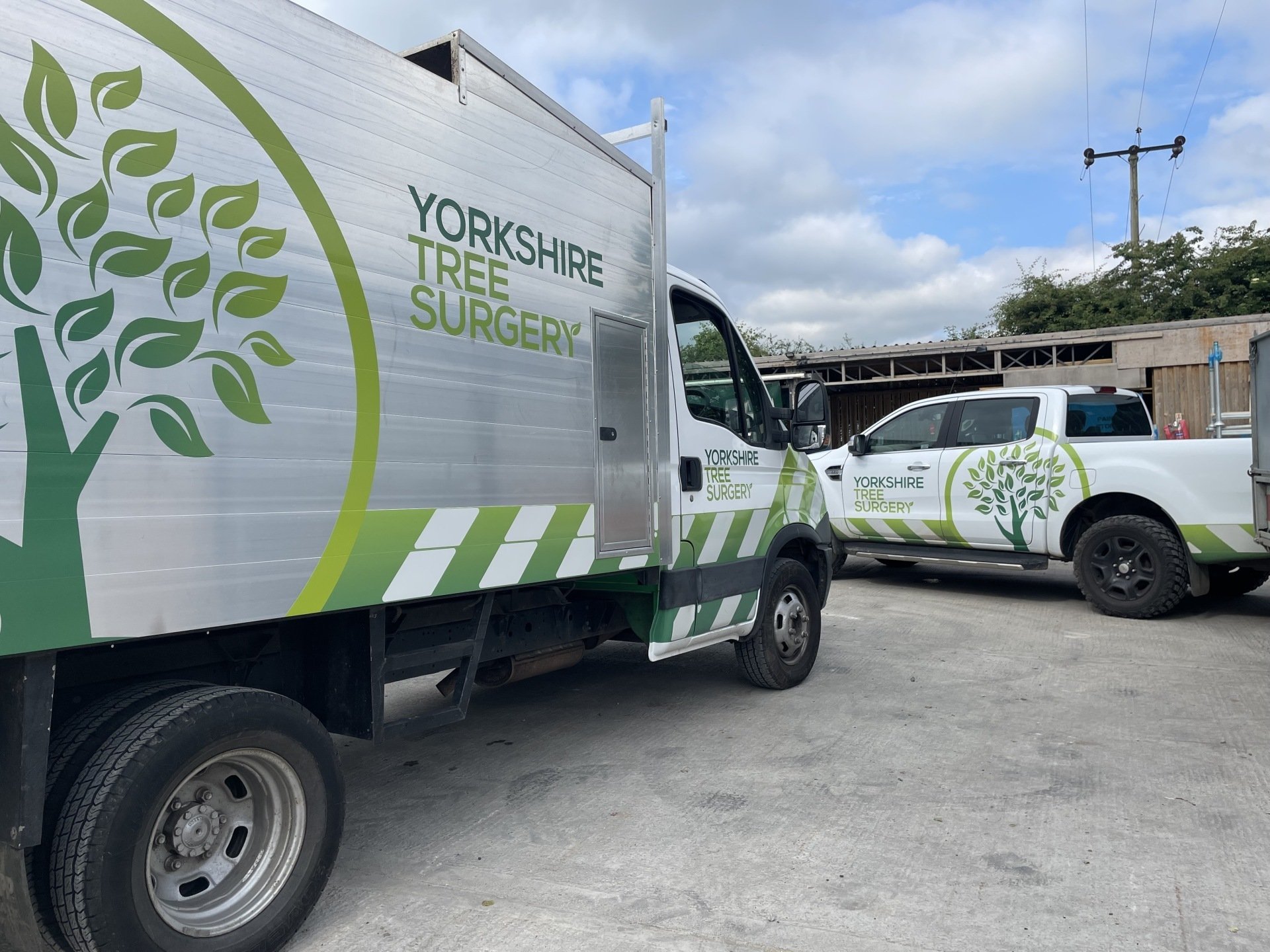 Tree surgeon | Yorkshire Tree Surgery