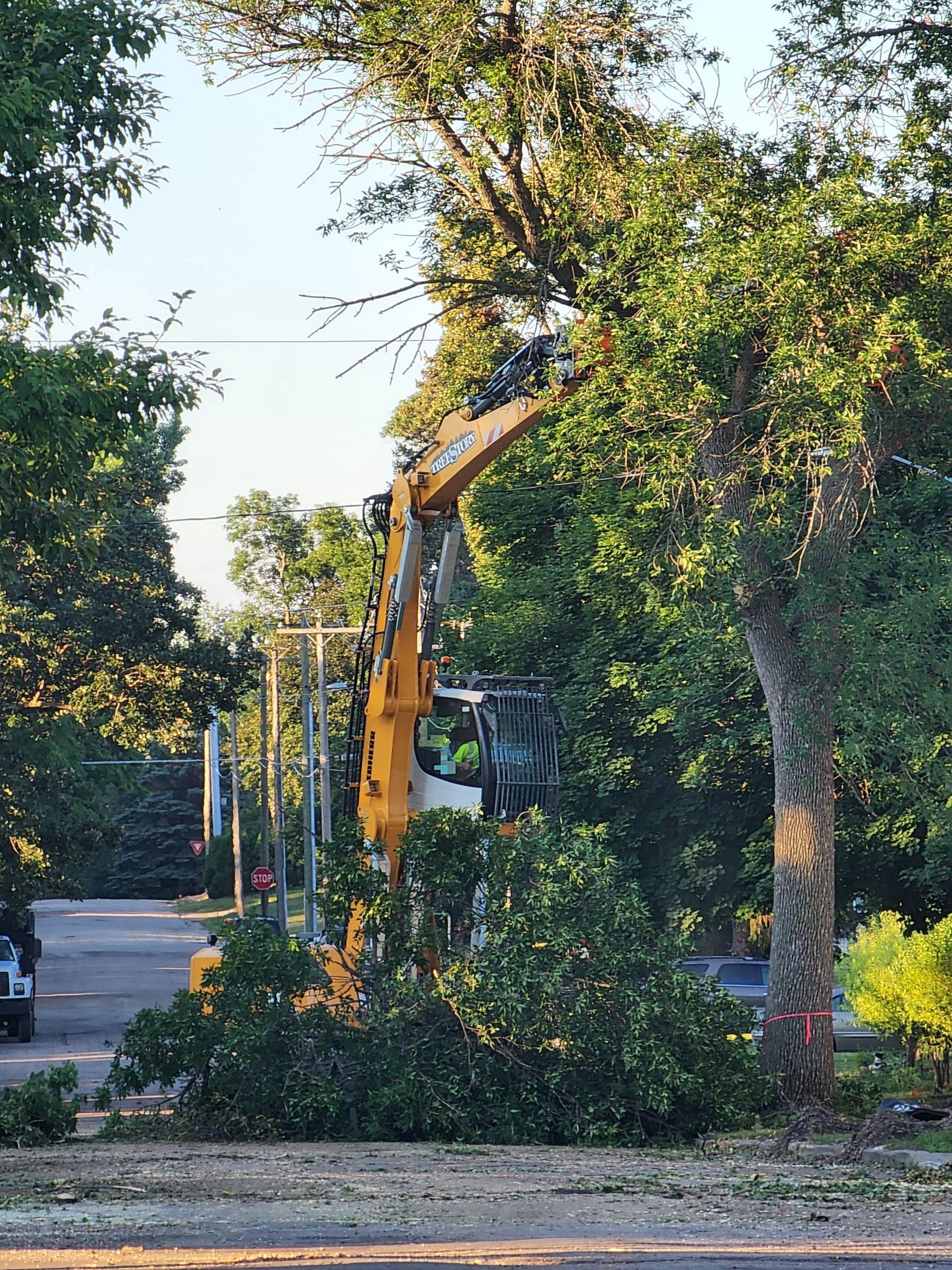 Road Right Of Way Projects | TreeStory