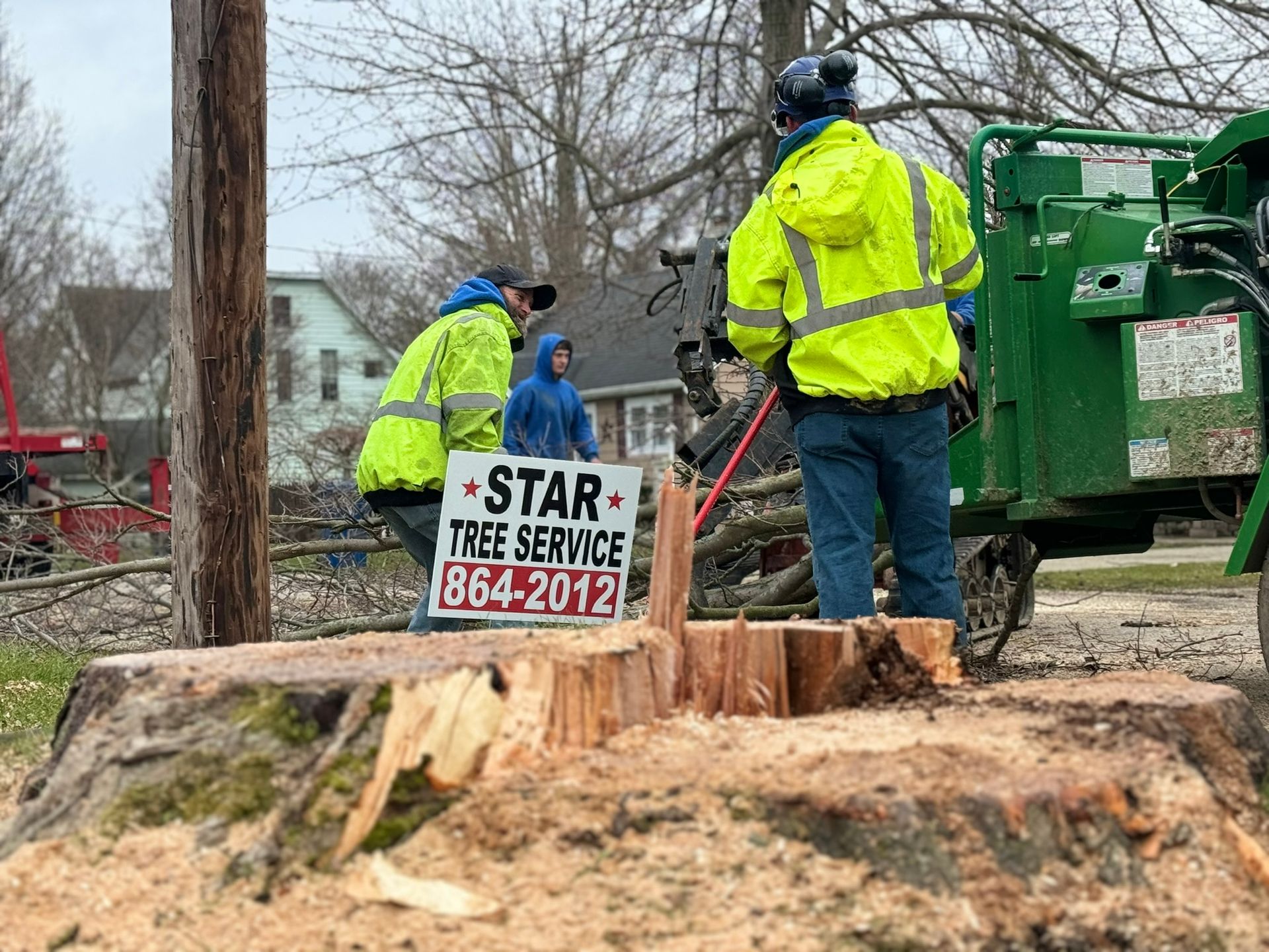 Tree Service Erie Pa