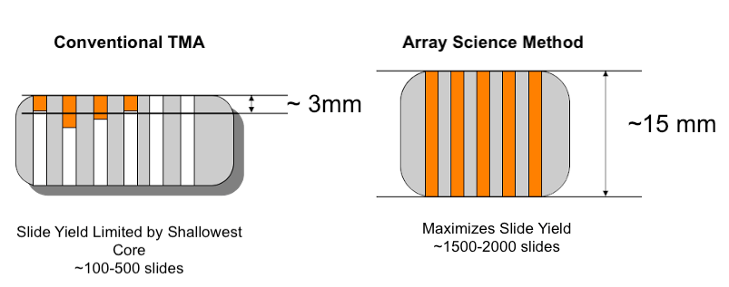 Tissue & Cell Culture Microarrays | Array Science | WA