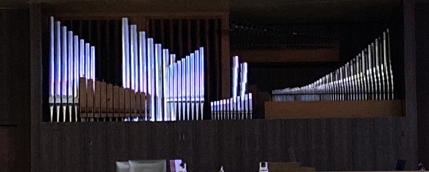 Organ