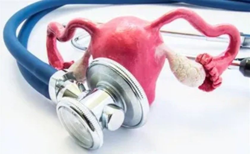 Surgeon Researcher