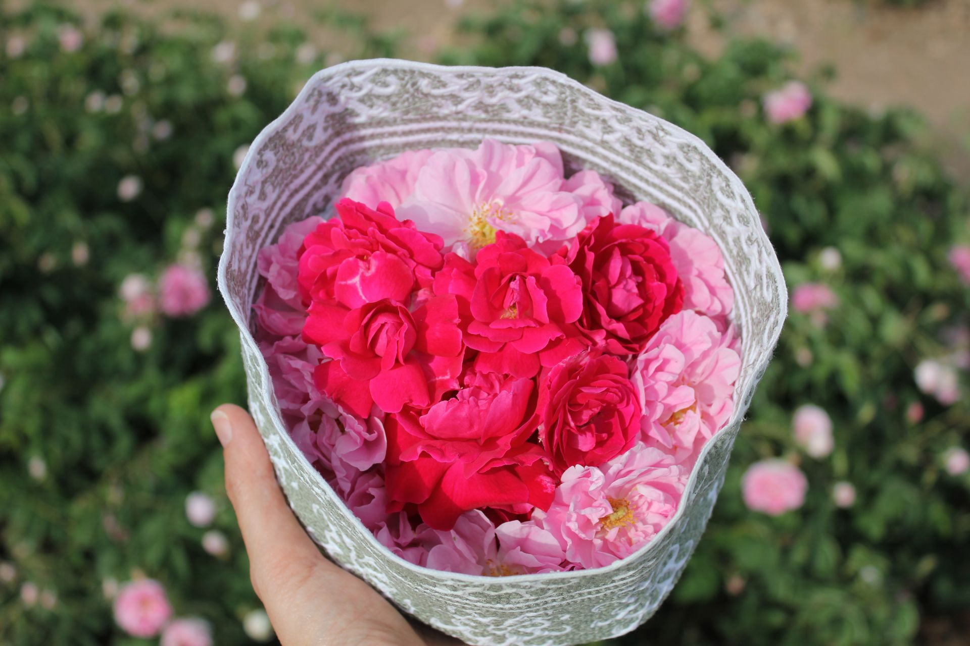 Pre-designed & customized Oman Tours | Adventure & Cultural Experiences ...