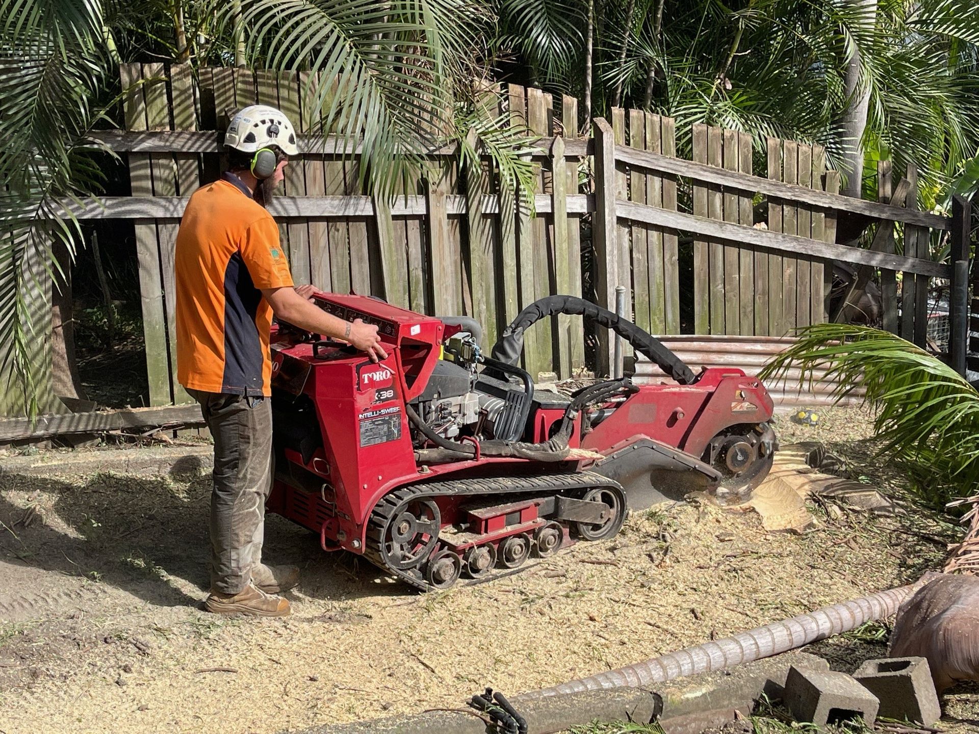 Tree Loppers Sydney | Tree Lopping & Removal | GDE