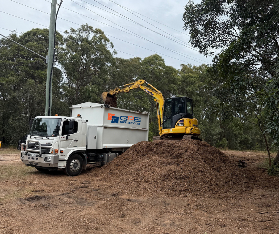Tree Loppers Sydney | Tree Lopping & Removal | GDE