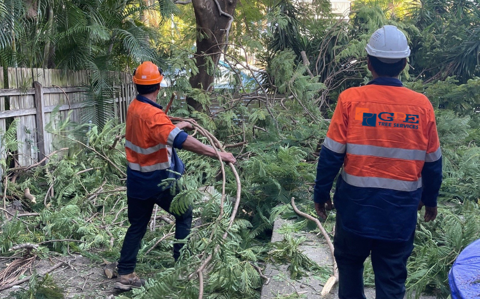 Tree Loppers Sydney | Tree Lopping & Removal | GDE