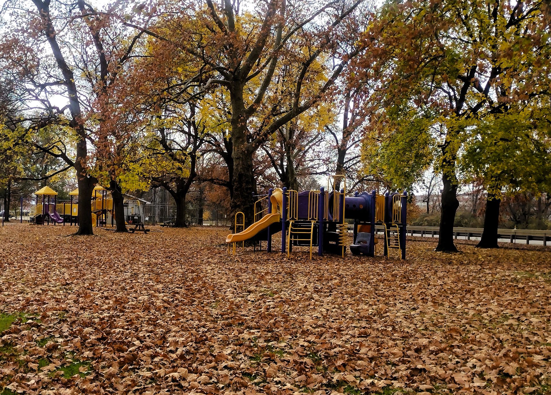 OUR PARKS