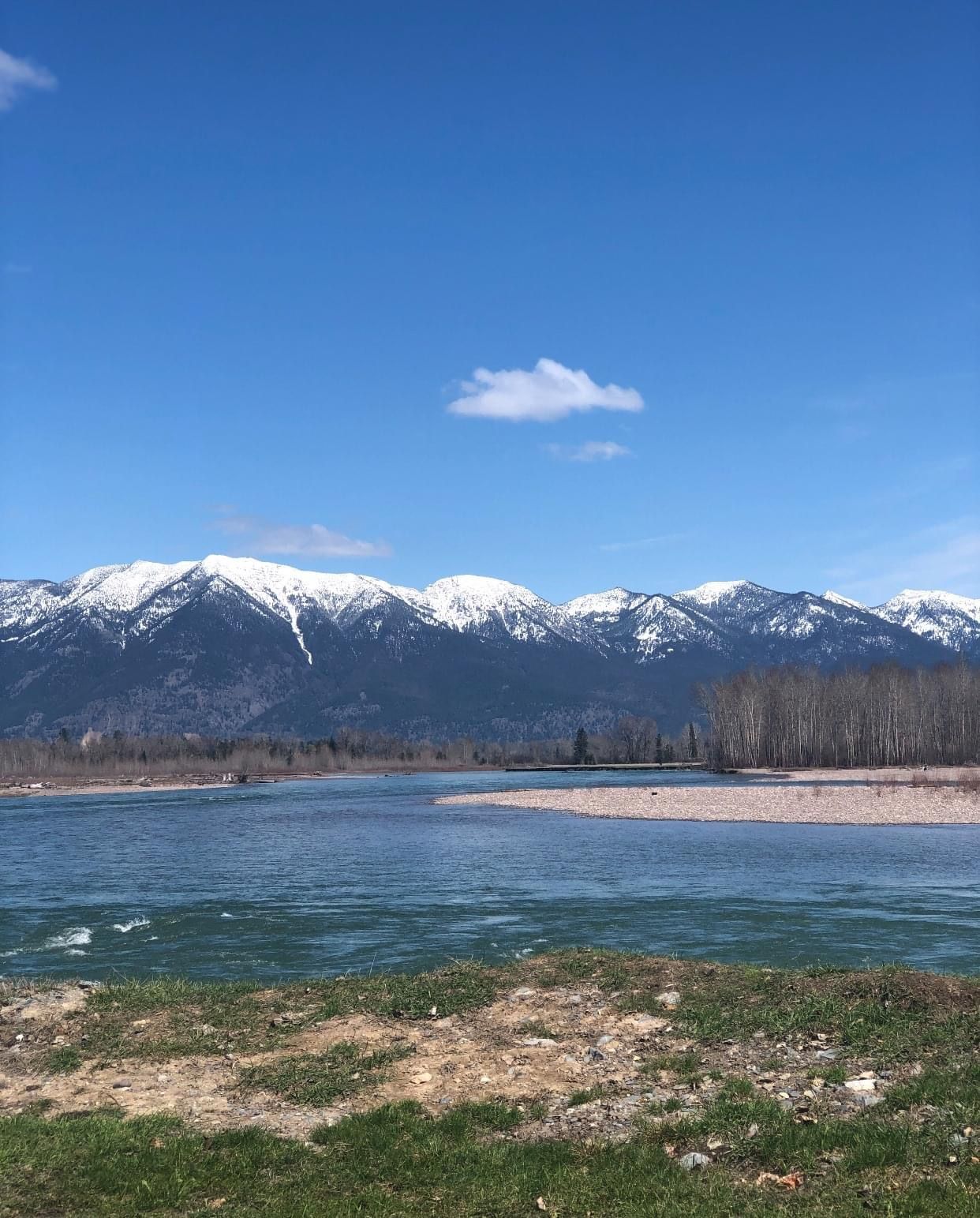 Photo & Video Gallery | Spruce Park On The River