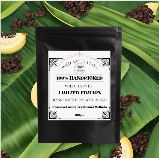 Cocoa Plantation Tour Aore Bean-to-Bar Experience in Vanuatu
