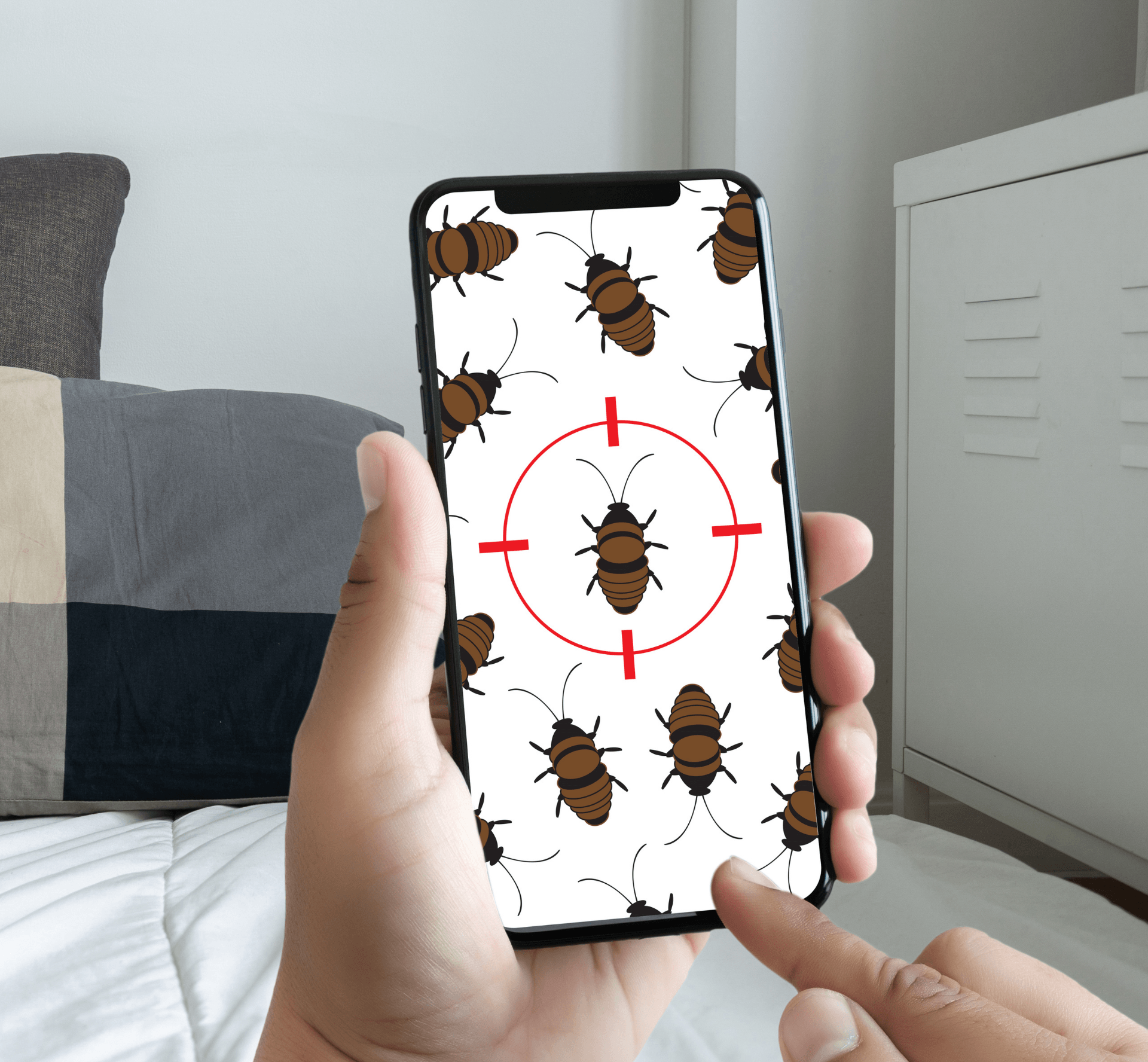 Fumigación y Control de Plagas en Toliuca