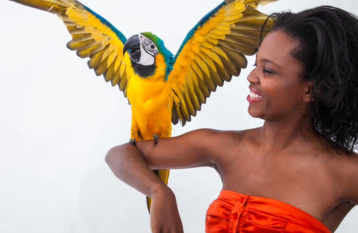 Gallery | Atlanta | Fancy Feathers