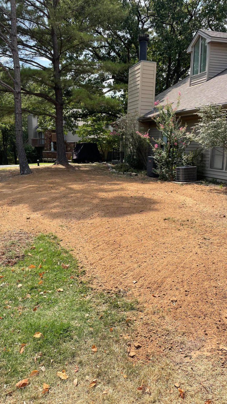 Tree Removal and Trimming | Clippers Tree Service