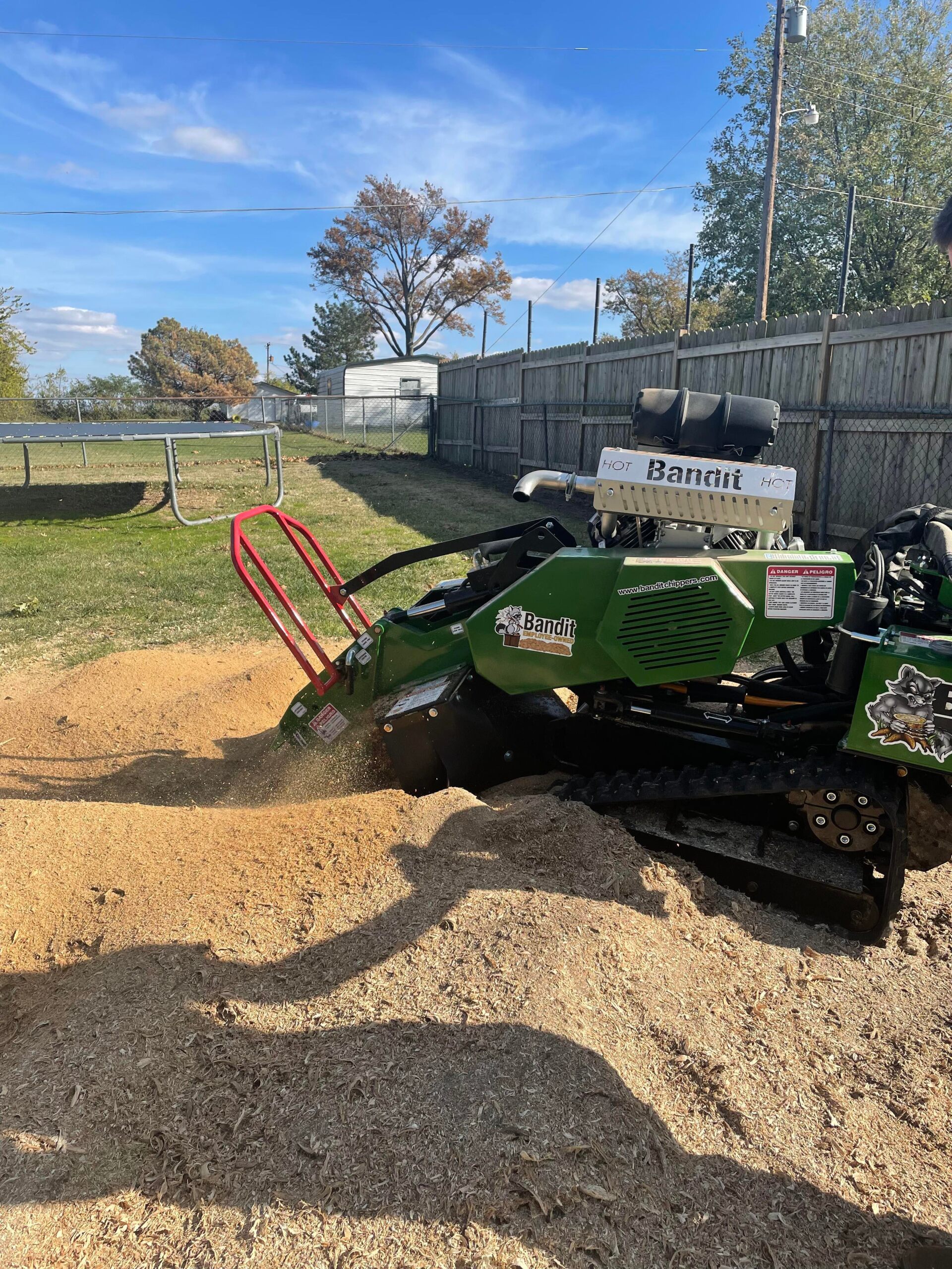 Clippers Tree Service | Tree Trimming and Removal