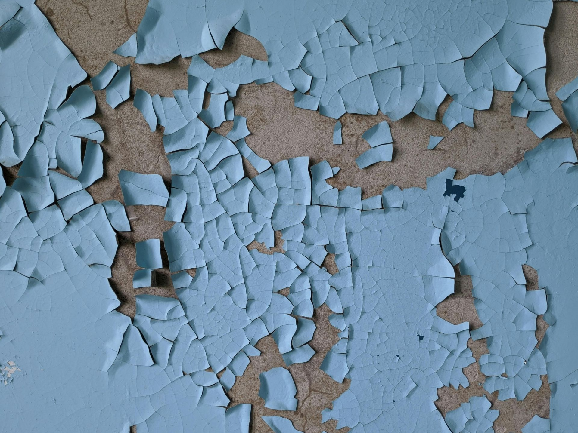 Seattle's Best Painters | Seattle Painting Company