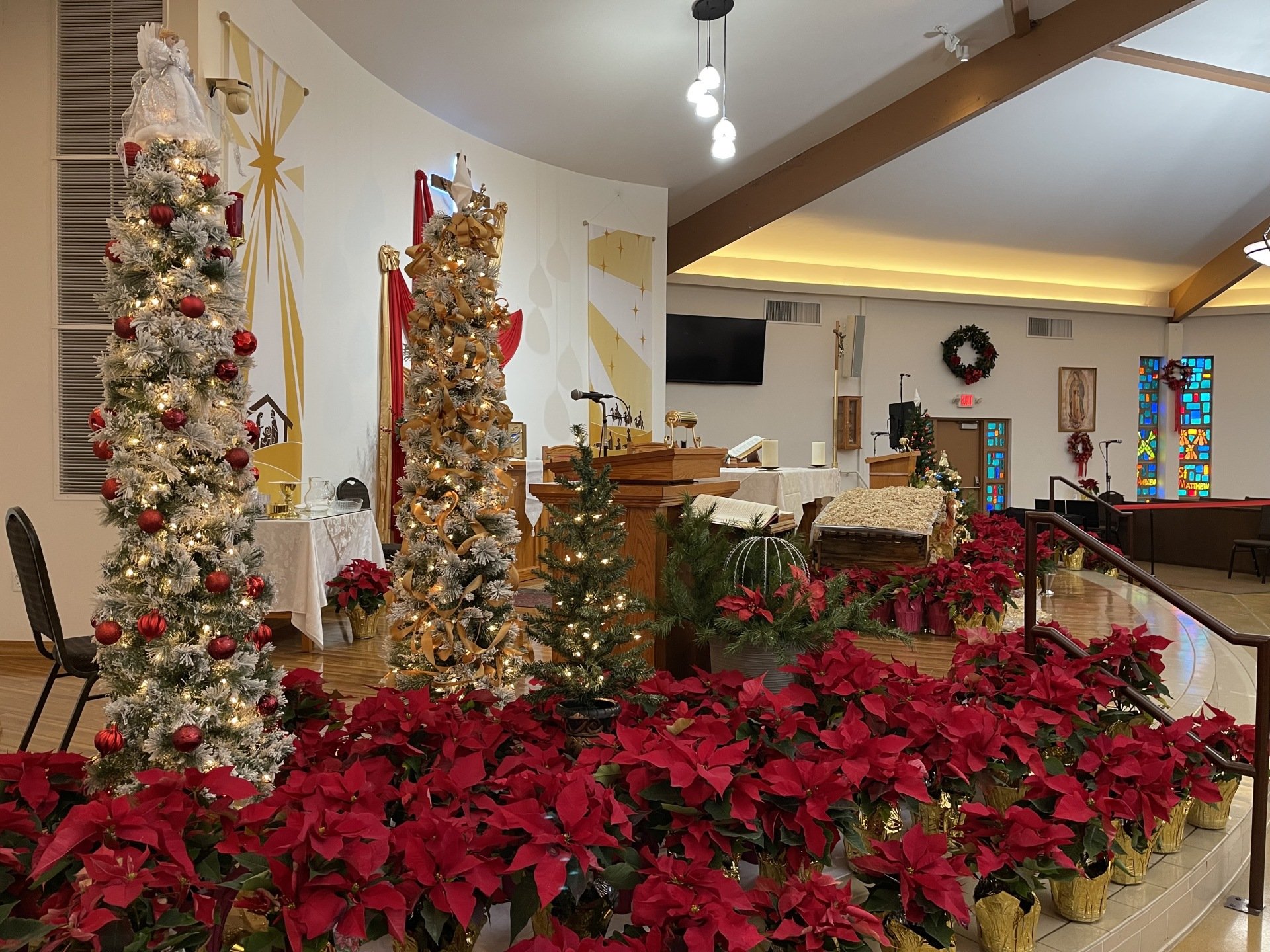 HOMILY ON THE SOLEMNITY OF CHRISTMAS 2022