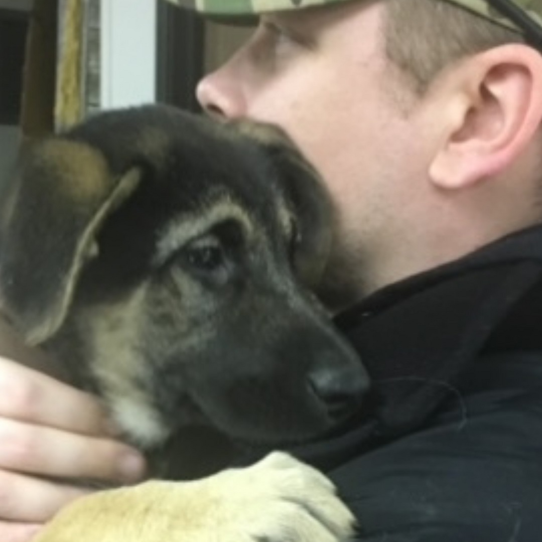 Apply for Service Dog Training | 4 Paws 2 Freedom