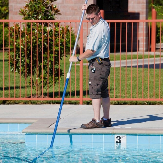 How to avoid getting water bugs in your pool?