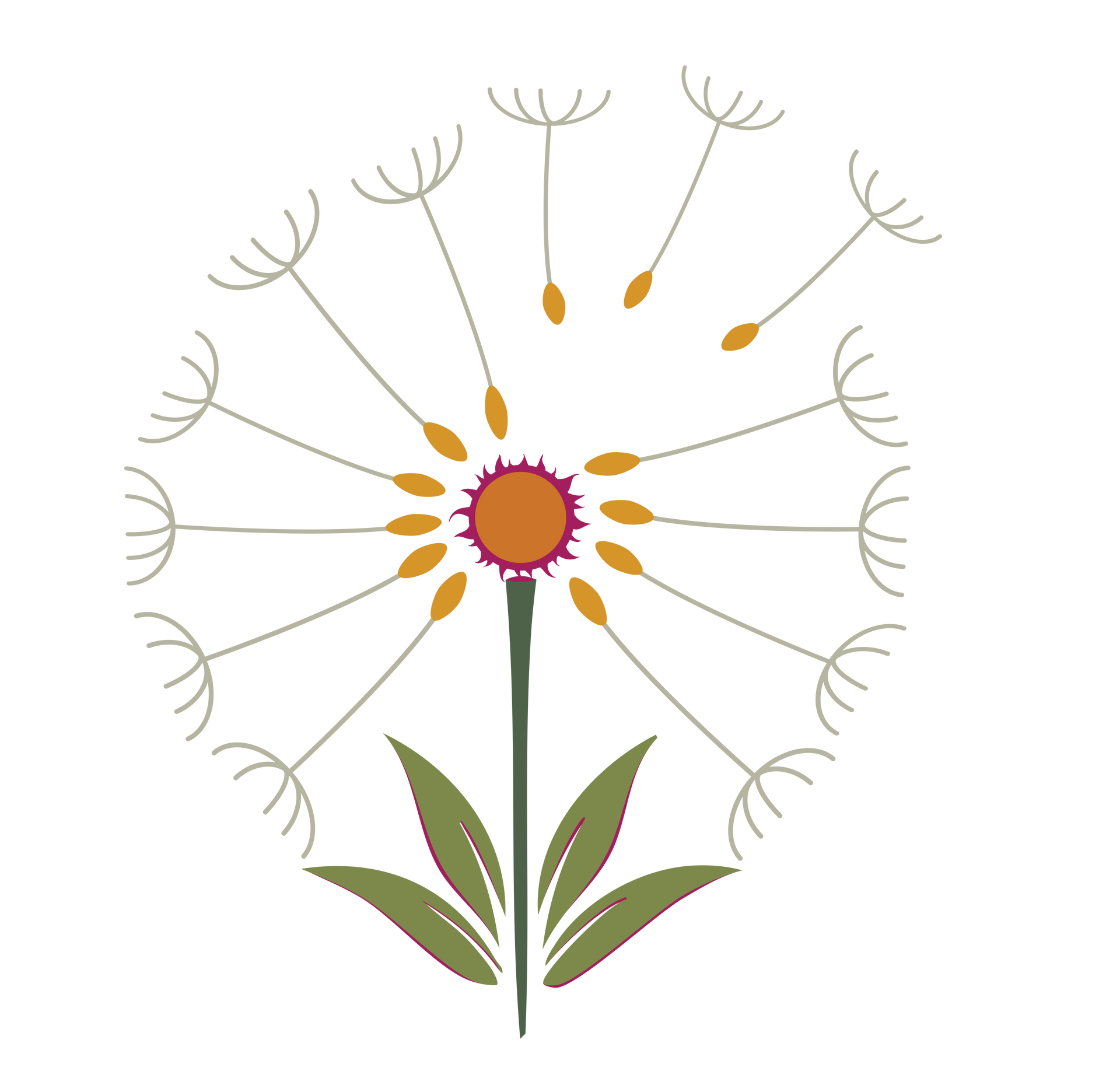 Wellness Coach | Warwick, NY | Wild Core Wellness