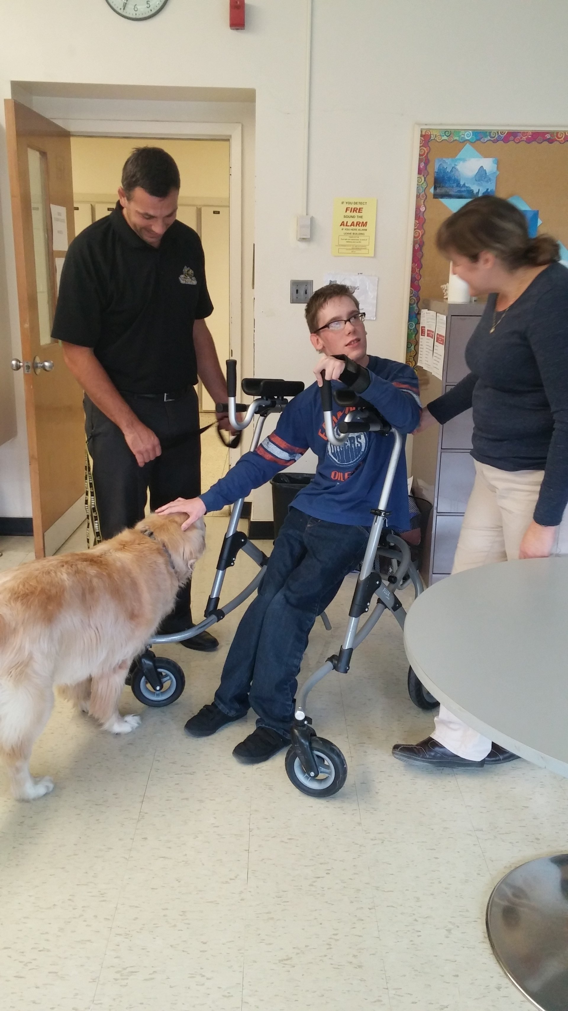 How the Animal Human Connection Helps | AAI