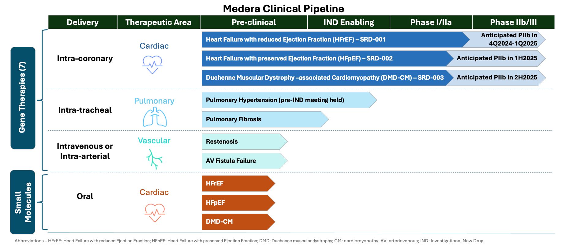 Gene Therapies | Small Molecule Candidates Pipeline | Medera