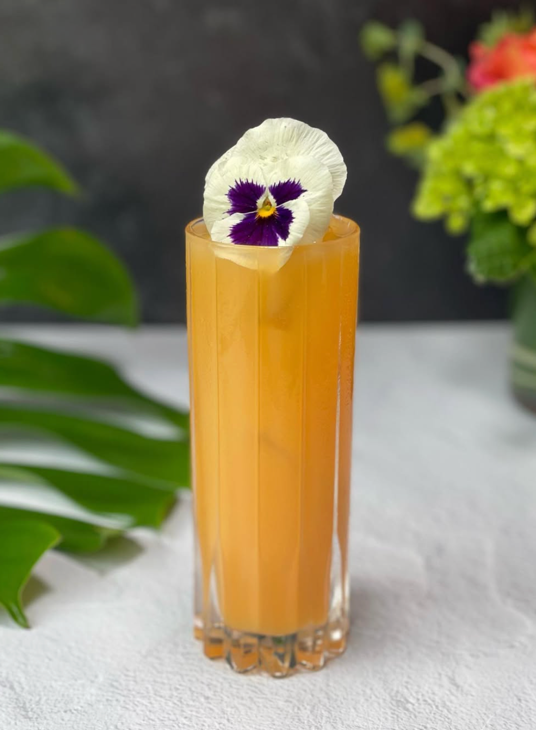 La Parma II | Huntington, NY