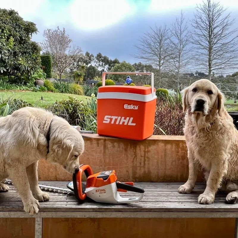 Stihl Shop Grafton | Garden Equipment in Grafton